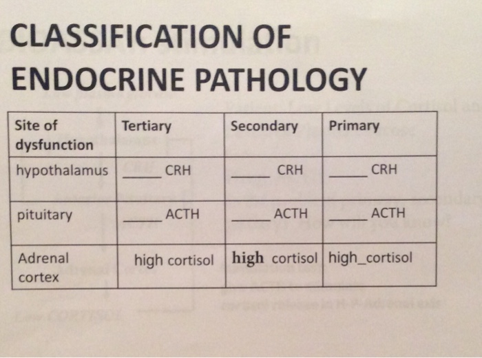 Solved CLASSIFICATION OF ENDOCRINE PATHOLOGY Tertiary Site | Chegg.com