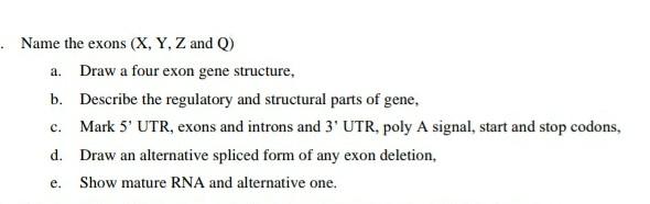 Solved Name the exons (X, Y, Z and Q) a. Draw a four exon | Chegg.com