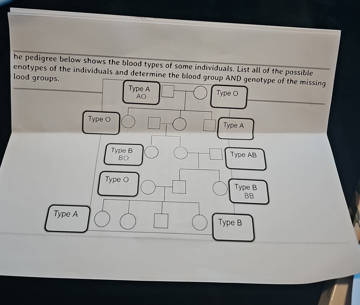 Solved What does this mean he pedigree below shows the blood | Chegg.com