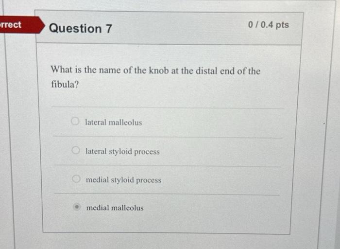 Solved What is the name of the knob at the distal end of the | Chegg.com
