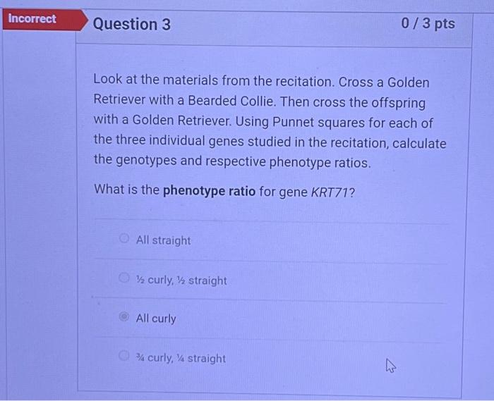 Solved Incorrect Question 3 Look at the materials from the | Chegg.com