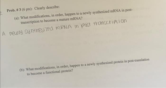 Solved Prob. # 3 (6 pts): Clearly describe: (a): What | Chegg.com Solved Prob. # 3 (6 pts): Clearly describe: (a): What | Chegg.com