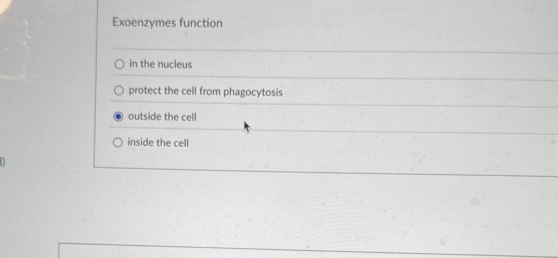 Solved Exoenzymes functionin the nucleusprotect the cell | Chegg.com