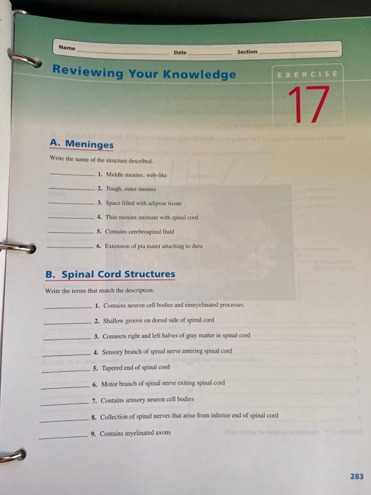 Solved Name Date Section Reviewing Your Knowledge EXERCISE | Chegg.com