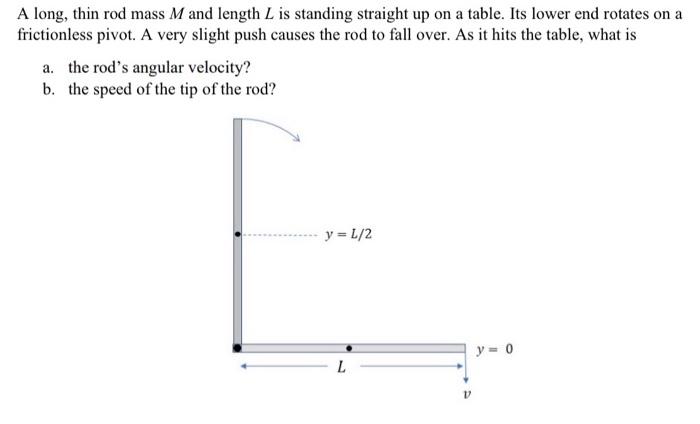Solved A long, thin rod mass M and length L is standing | Chegg.com