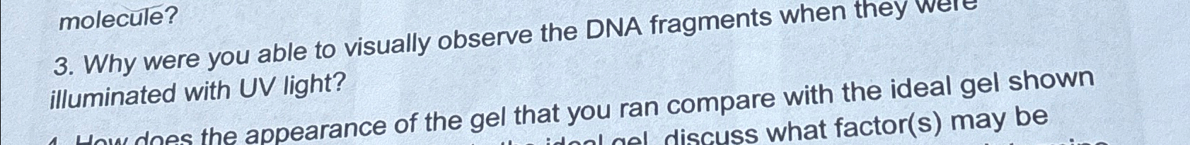 Solved 3. ﻿Why were you able to visually observe the DNA | Chegg.com