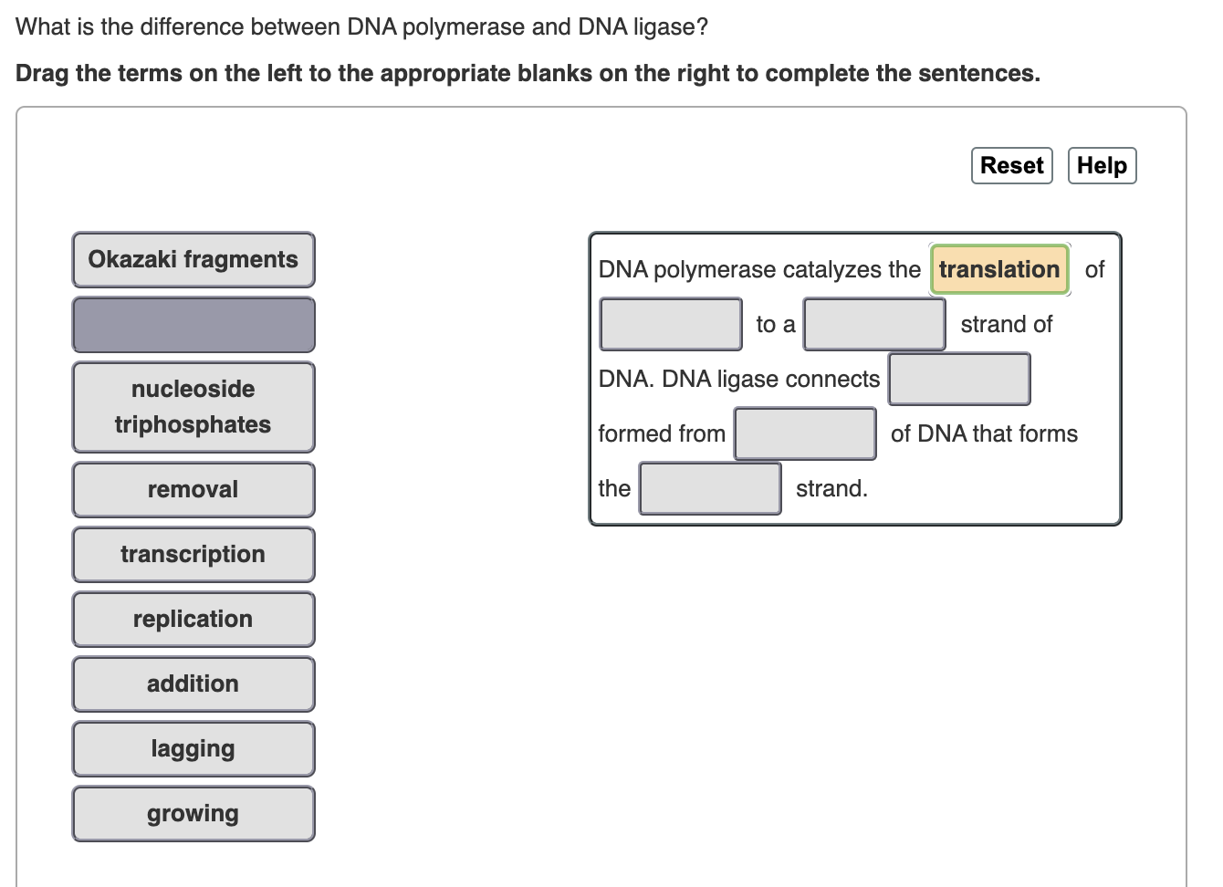 Solved What is the difference between DNA polymerase and DNA | Chegg.com