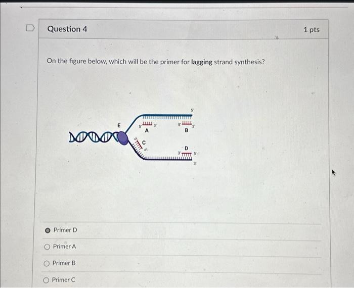 Solved On the figure below, which will be the primer for | Chegg.com