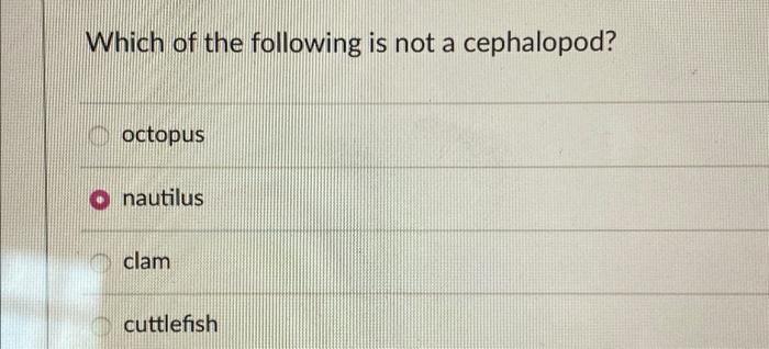 Solved Which of the following is not a cephalopod? octopus | Chegg.com