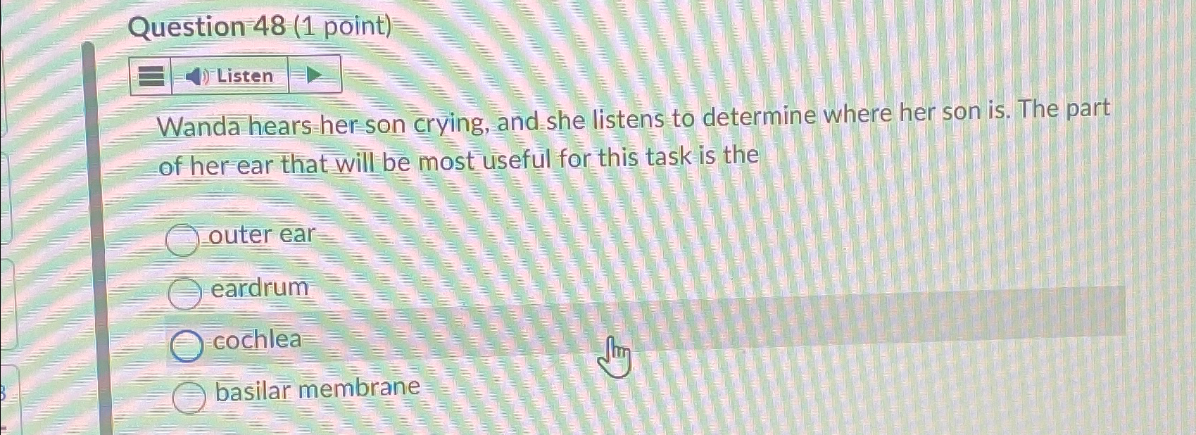 Solved Question 48 (1 ﻿point)ListenWanda hears her son | Chegg.com