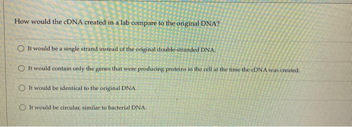 Solved How does the primary transcript in the nucleus of a | Chegg.com