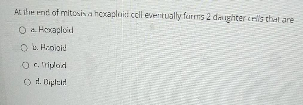 Solved At the end of mitosis a hexaploid cell eventually | Chegg.com