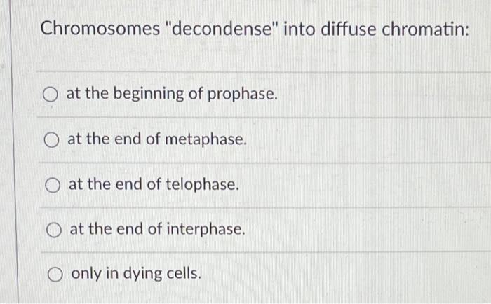 Solved Chromosomes "decondense" into diffuse chromatin: O at | Chegg.com