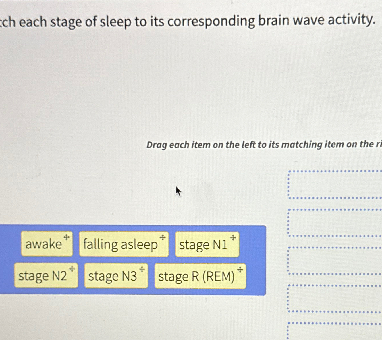Solved ch each stage of sleep to its corresponding brain | Chegg.com