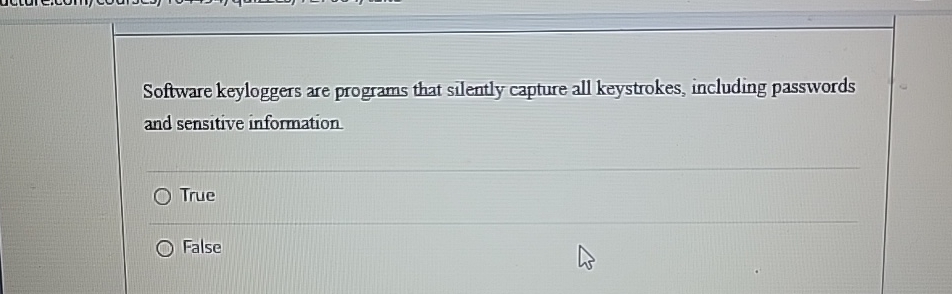 Solved Software keyloggers are programs that silently | Chegg.com