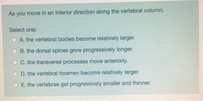 Solved As you move in an inferior direction along the | Chegg.com