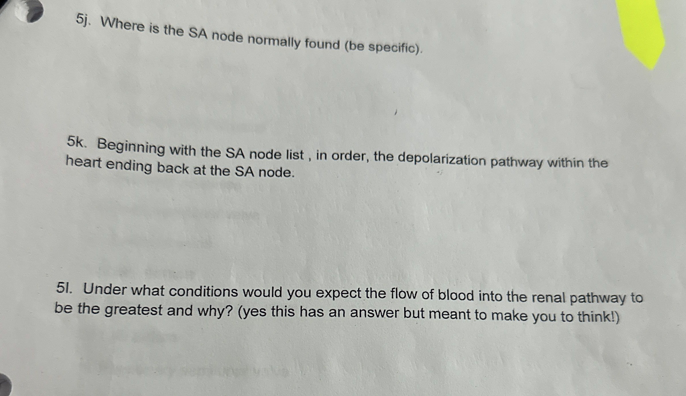 Solved 5j. ﻿Where is the SA node normally found (be | Chegg.com