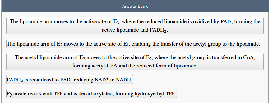 Solved Answer BankThe lipoamide arm moves to ﻿the active | Chegg.com
