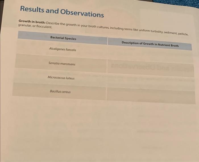 Results and Observations Growth on slant: Describe | Chegg.com