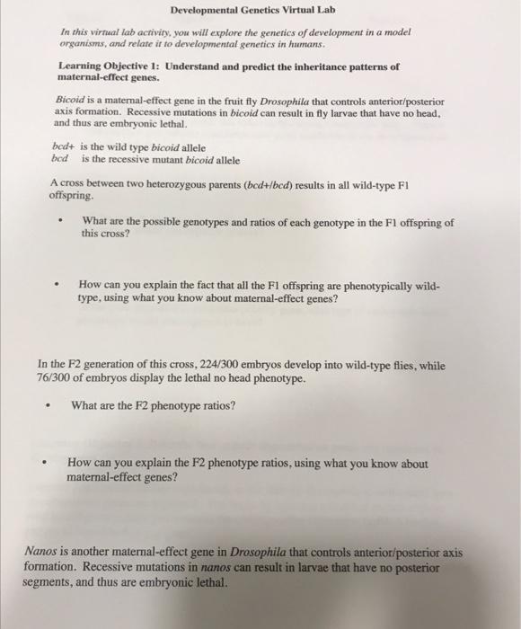 Solved Developmental Genetics Virtual Lab In this virtual | Chegg.com