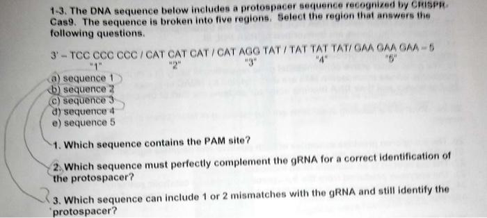 Solved 1-3. The DNA sequence below includes a protospacer | Chegg.com