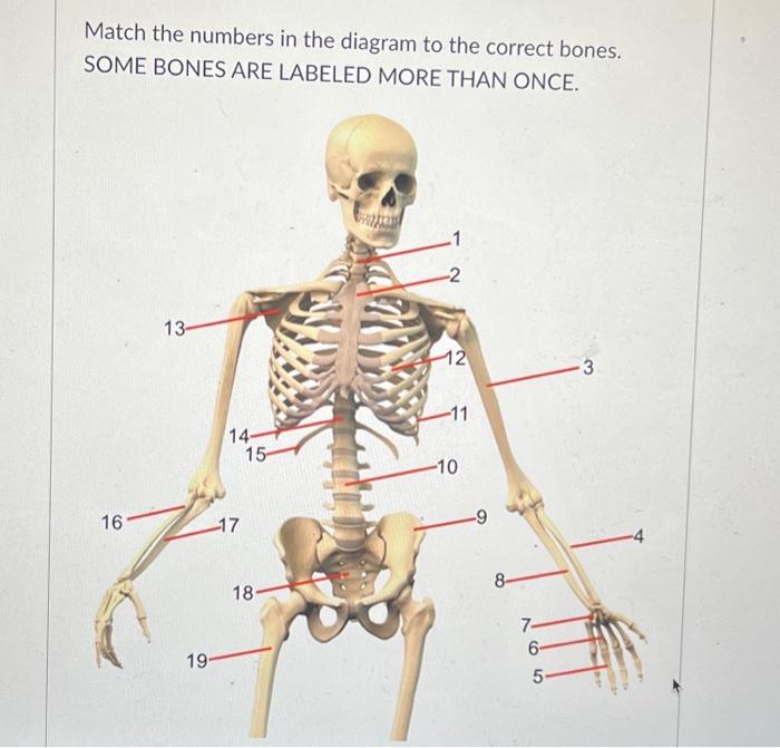 Match the numbers in the diagram to the correct | Chegg.com
