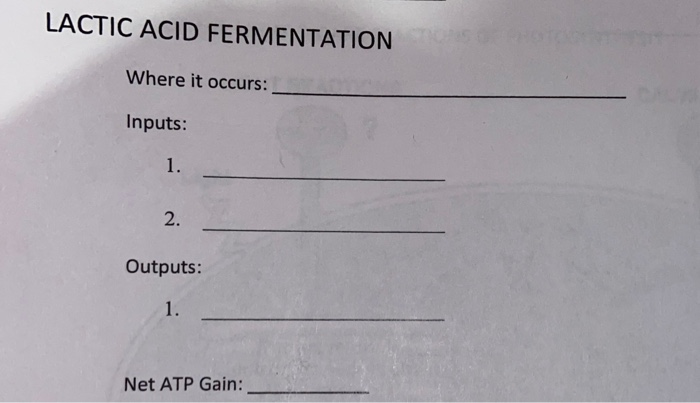 Solved LACTIC ACID FERMENTATION Where it occurs: Inputs: 1. | Chegg.com