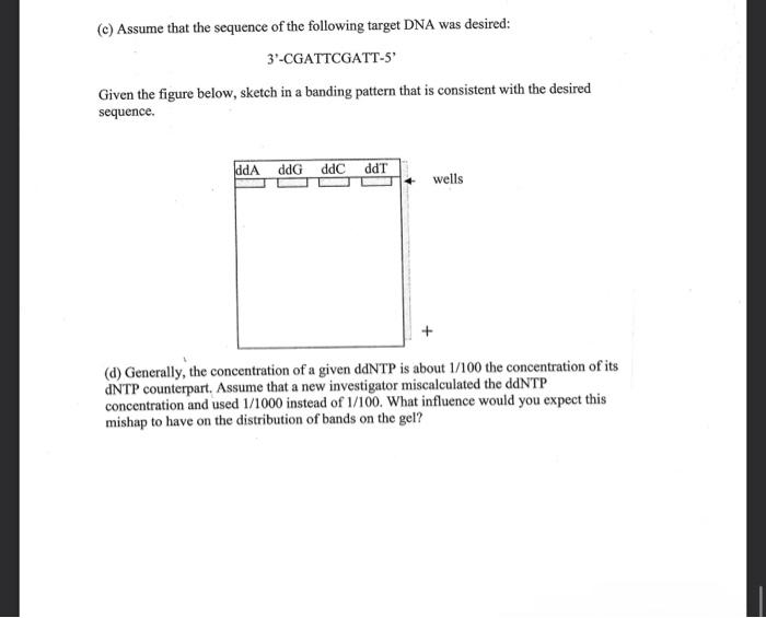 Solved (c) Assume that the sequence of the following target | Chegg.com