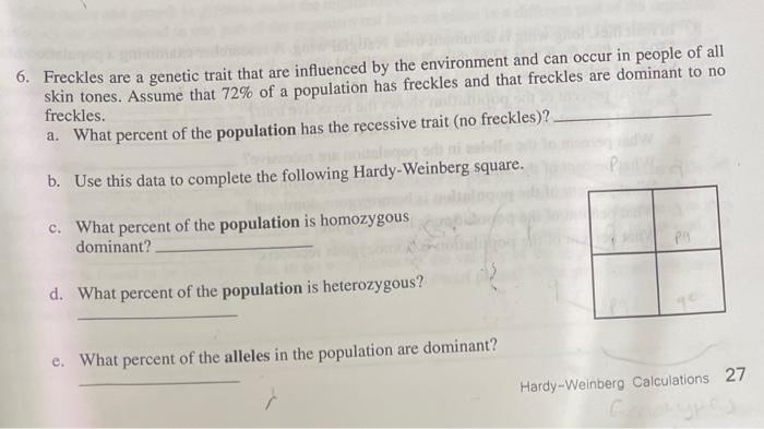 Solved 6. Freckles are a genetic trait that are influenced | Chegg.com