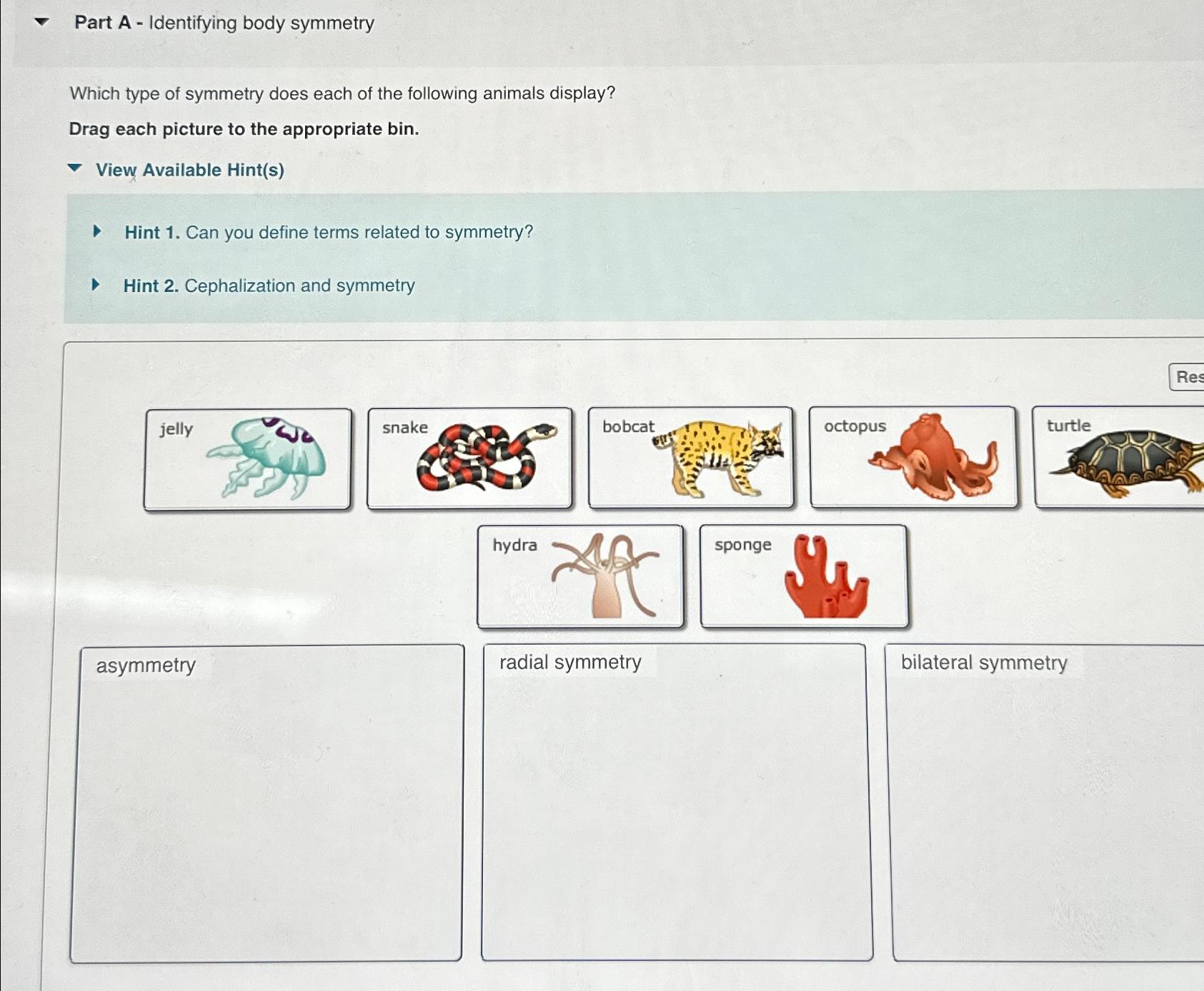 Solved Part A - ﻿Identifying body symmetryWhich type of | Chegg.com