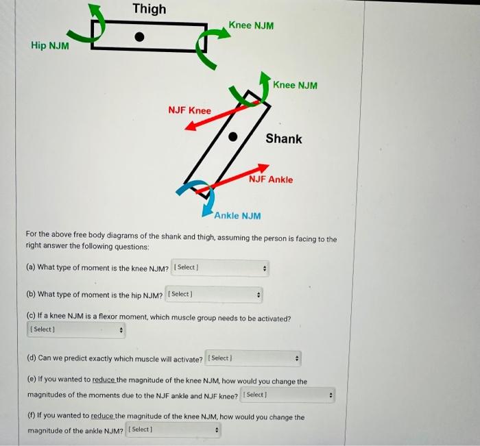 Solved For the above free body diagrams of the shank and | Chegg.com