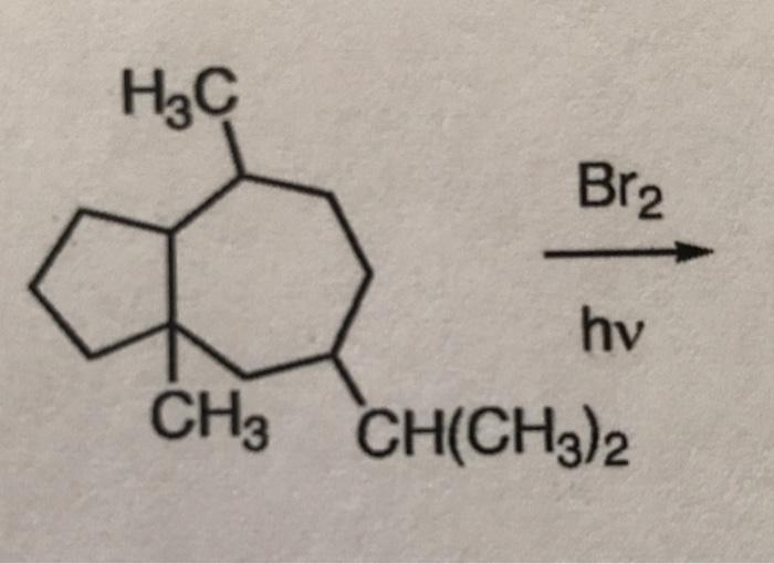 Solved How many different products will result if radical | Chegg.com