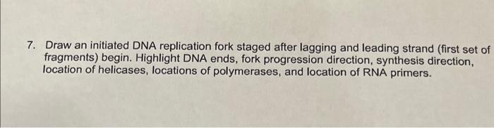 Solved 7. Draw an initiated DNA replication fork staged | Chegg.com