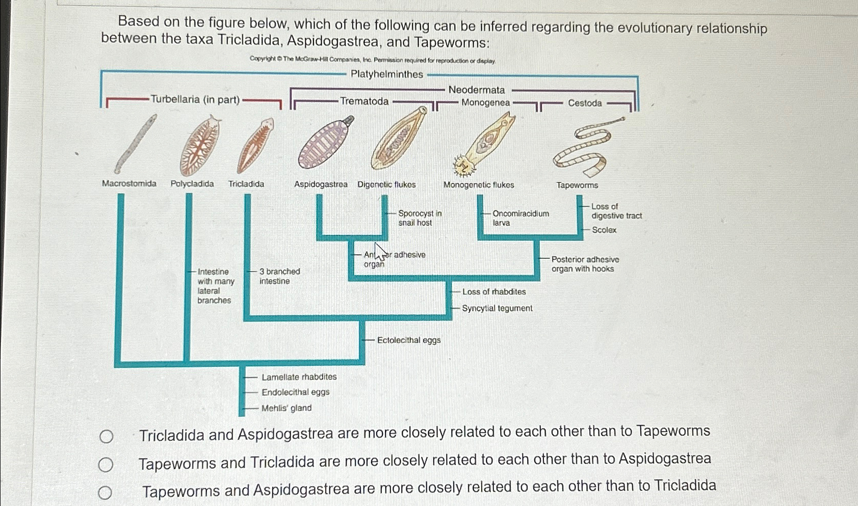 Solved Based on the figure below, which of the following can | Chegg.com