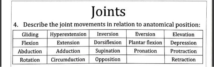 Solved Joints Describe the joint movements in relation to | Chegg.com