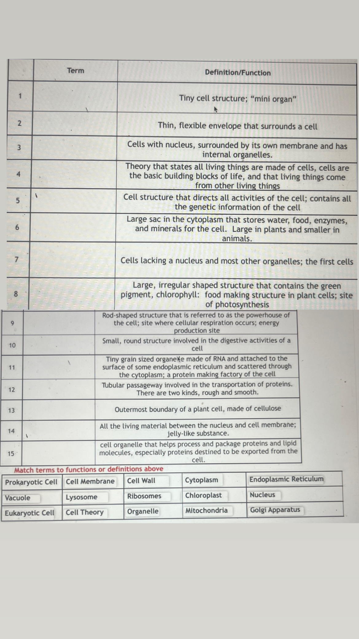 Solved \table[[,Term,Definition/Function],[1.,,Tiny cell | Chegg.com