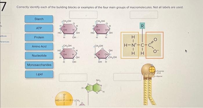 Solved 7 ts eBook ferences Correctly identify each of the | Chegg.com