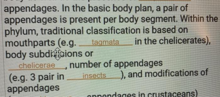 Solved appendages. In the basic body plan, a pair of | Chegg.com