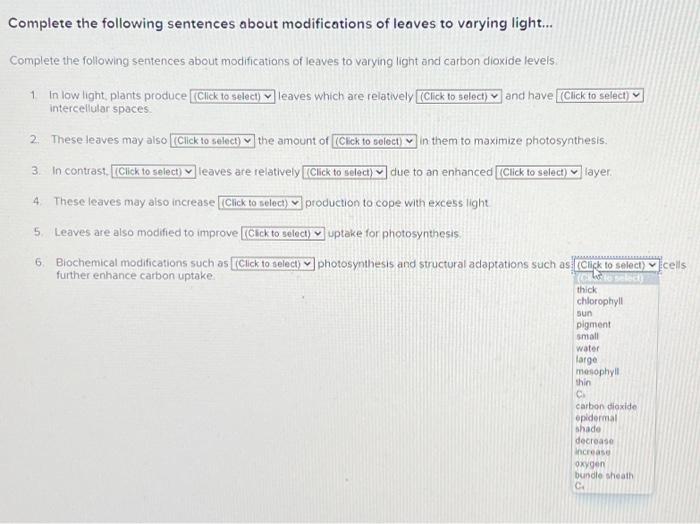 Solved Complete the following sentences about modifications | Chegg.com