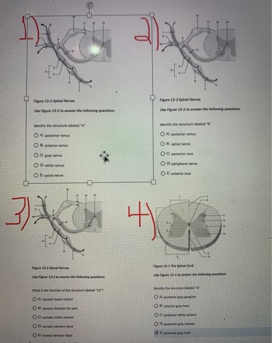 Solved I. ON 310 4 ON Od OR D 5) 2) [:) Pure 13-2 Spiral | Chegg.com