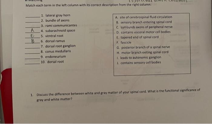Solved Match each term in the left column with its correct | Chegg.com