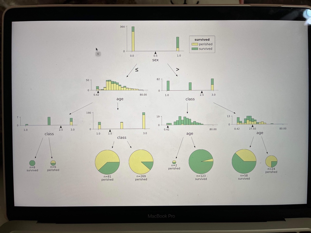 Solved Which path in the decision tree accounts for the | Chegg.com