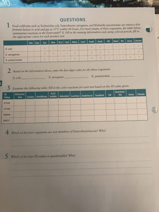 QUESTIONS Fecal coliforms such as Escherichia coli, | Chegg.com