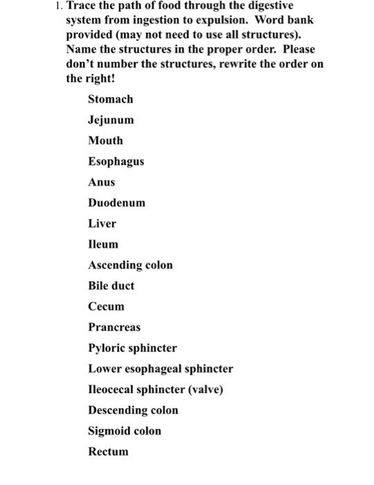 Solved 1. Trace the path of food through the digestive | Chegg.com