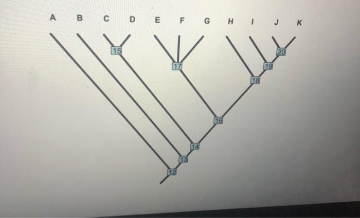 Solved Which of the following is a monophyletic group? O A, | Chegg.com Solved Which of the following is a monophyletic group? O A, | Chegg.com
