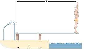 Solved A 5.0 m long diving board weighs 225 N, and it is | Chegg.com