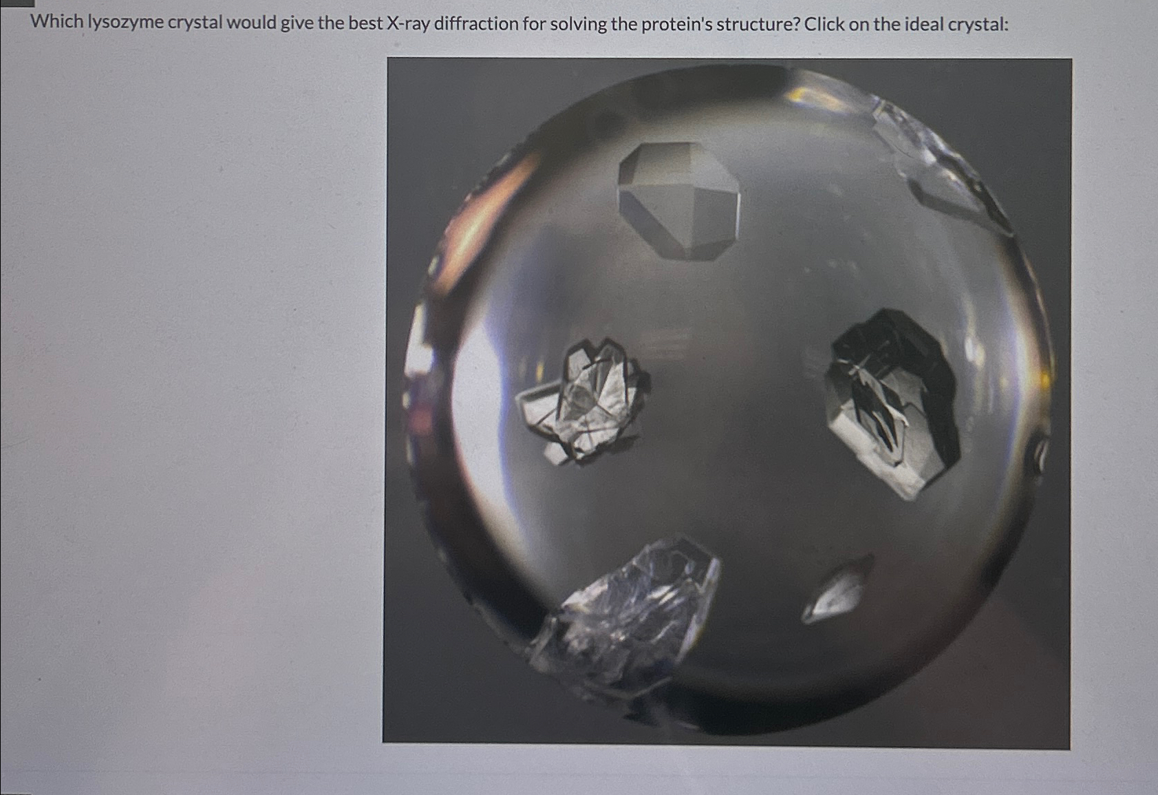 Solved Which lysozyme crystal would give the best X-ray | Chegg.com