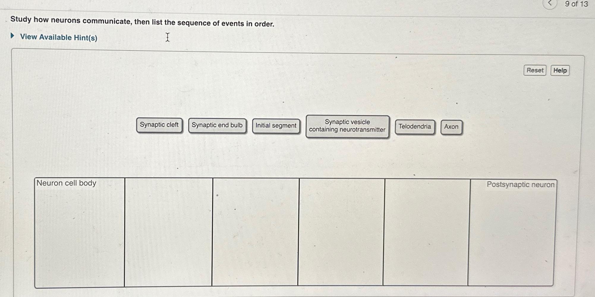 Solved 9 ﻿of 13Study how neurons communicate, then list the | Chegg.com
