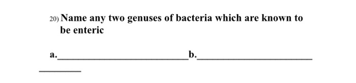 Solved 20) Name any two genuses of bacteria which are known | Chegg.com