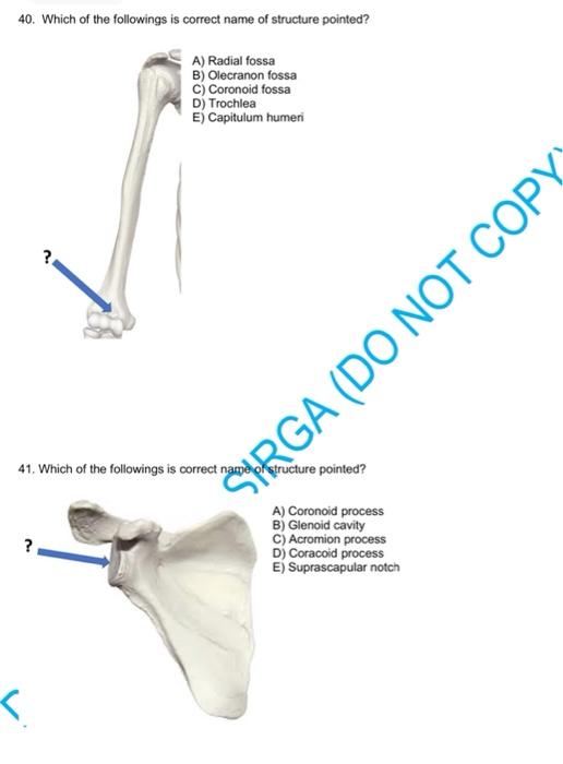 Solved 40. Which of the followings is correct name of | Chegg.com